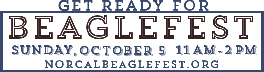 Nor Cal Beagle Rescue